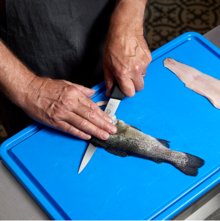 Home [commercialknives.victorinox.com]